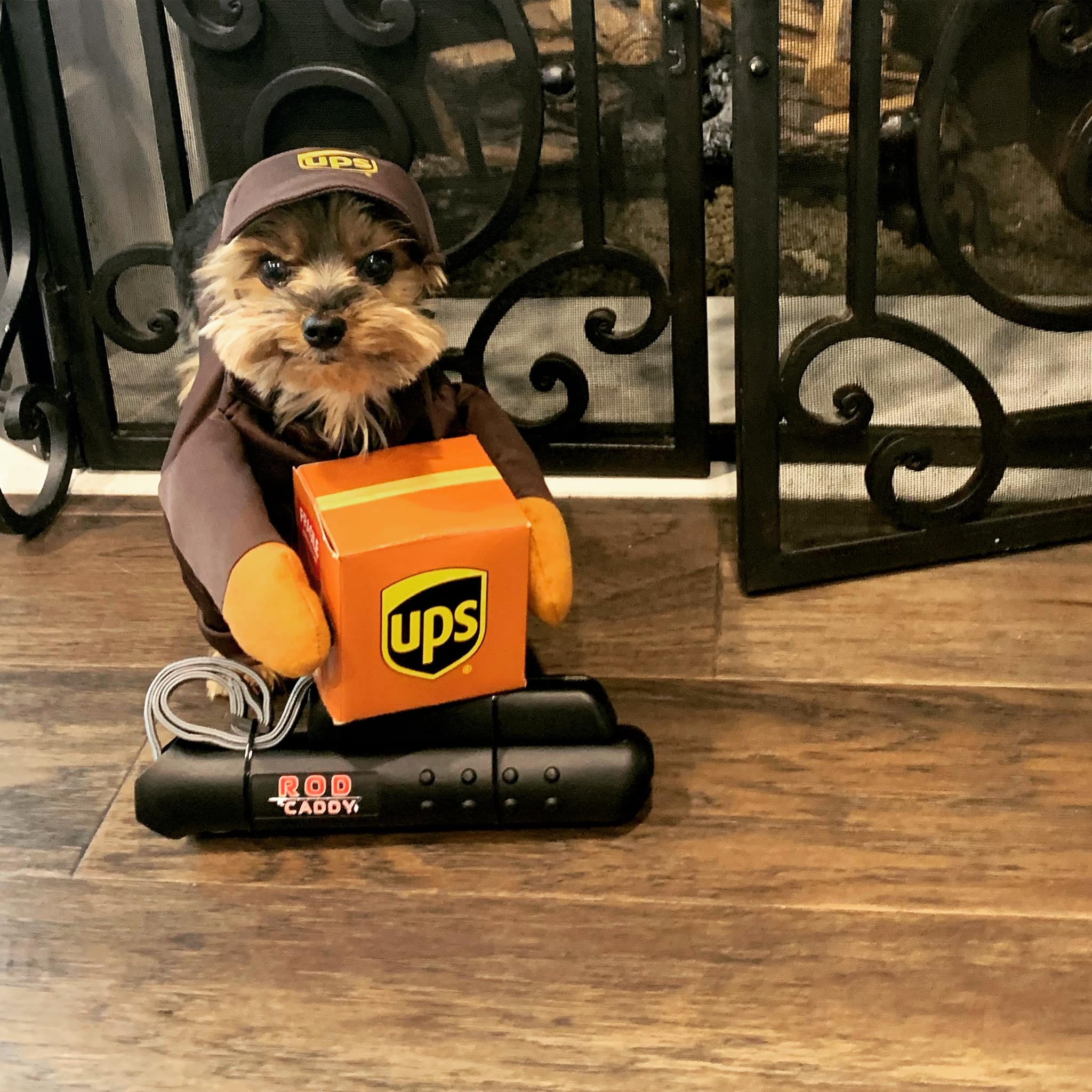 Where does it come from? – Rod Caddy